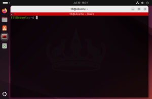How to Install Terminator on Ubuntu 24.04 - The Linux Tutorials